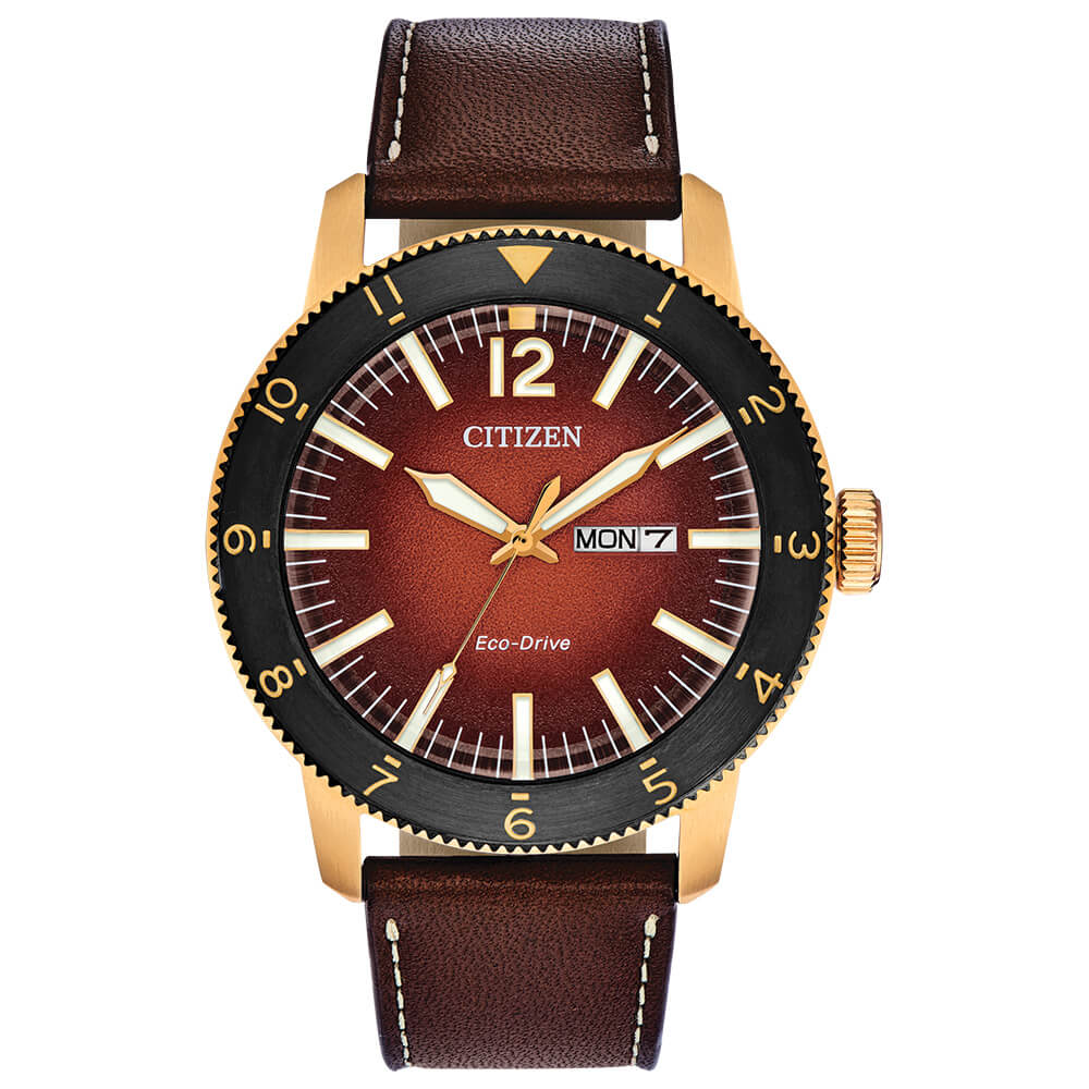 Citizen Vintage Throwback Brycen Watch | Powers Jewelry Designers ...